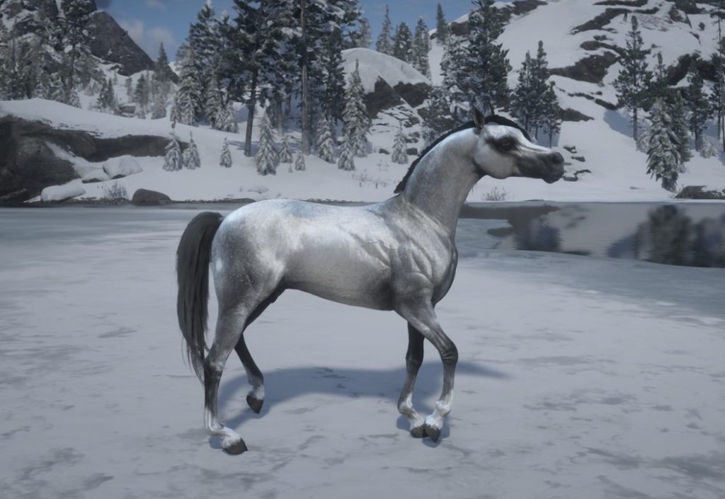 New arabian horse – ModsCloud.net