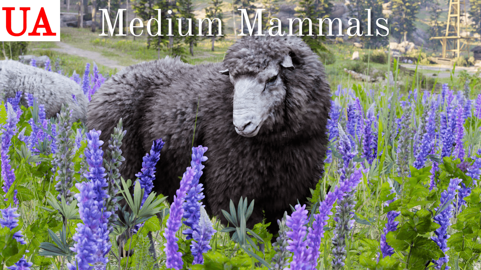 Upscaled Animals Medium Mammals – ModsCloud.net